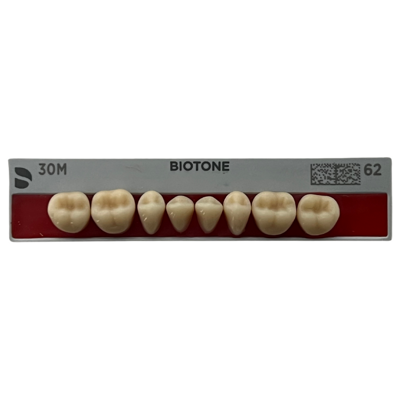 Biotone Posteriores Inferiores/Superiores Dientes Tablilla 1X8