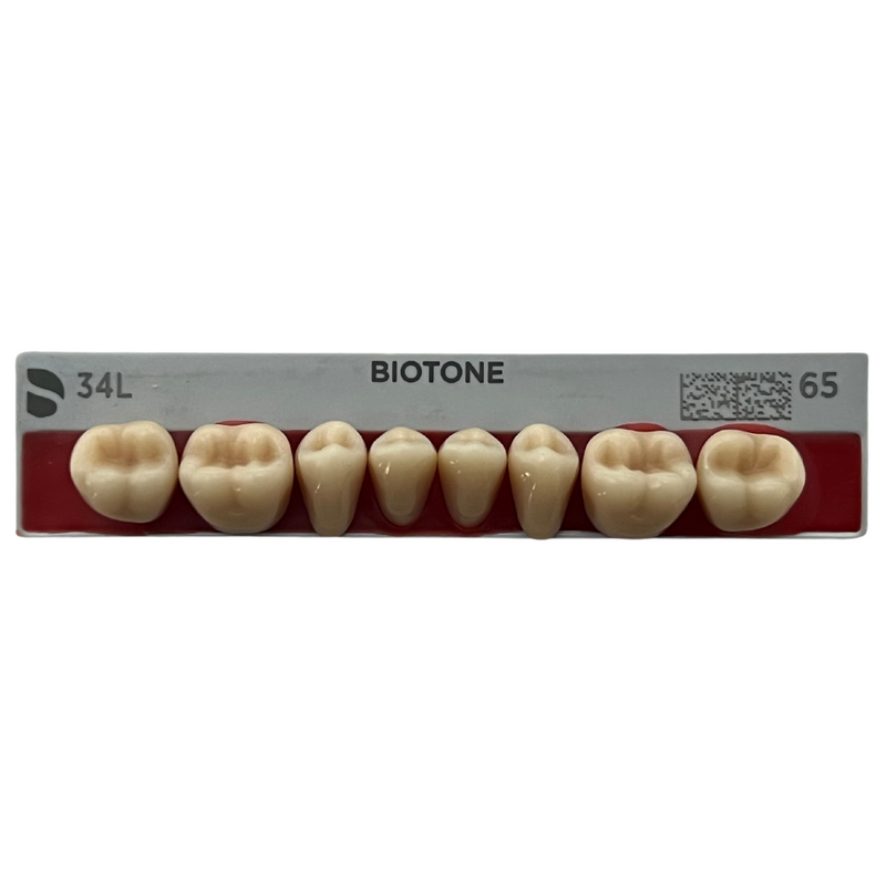 Biotone Posteriores Inferiores/Superiores Dientes Tablilla 1X8