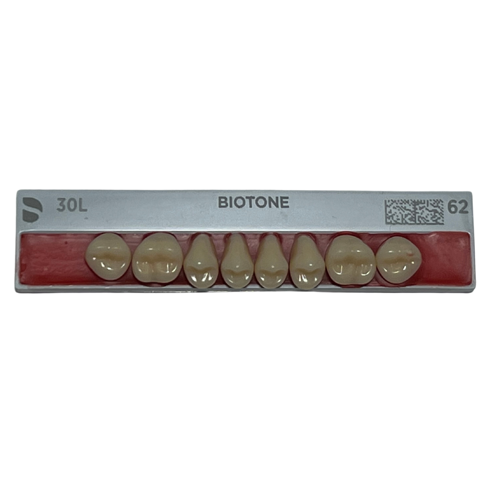 Biotone Posteriores Inferiores/Superiores Dientes Tablilla 1X8