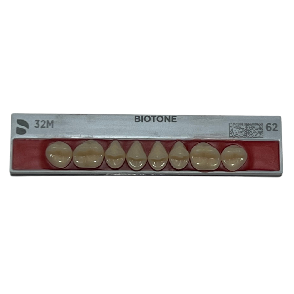 Biotone Posteriores Inferiores/Superiores Dientes Tablilla 1X8