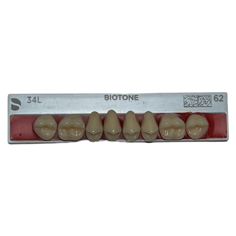 Biotone Posteriores Inferiores/Superiores Dientes Tablilla 1X8